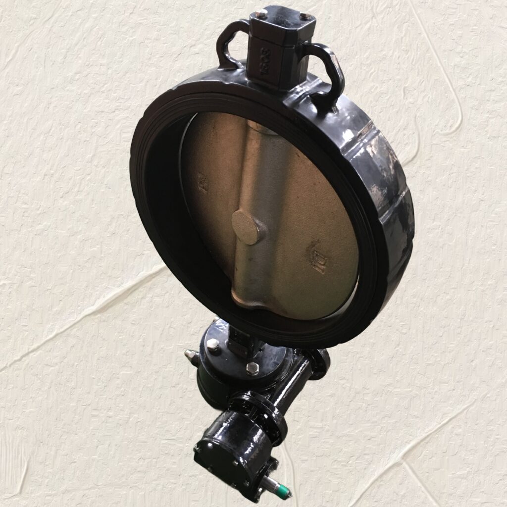 Loose-liner butterfly valve - SAVVY VALVES CO., LIMITED
